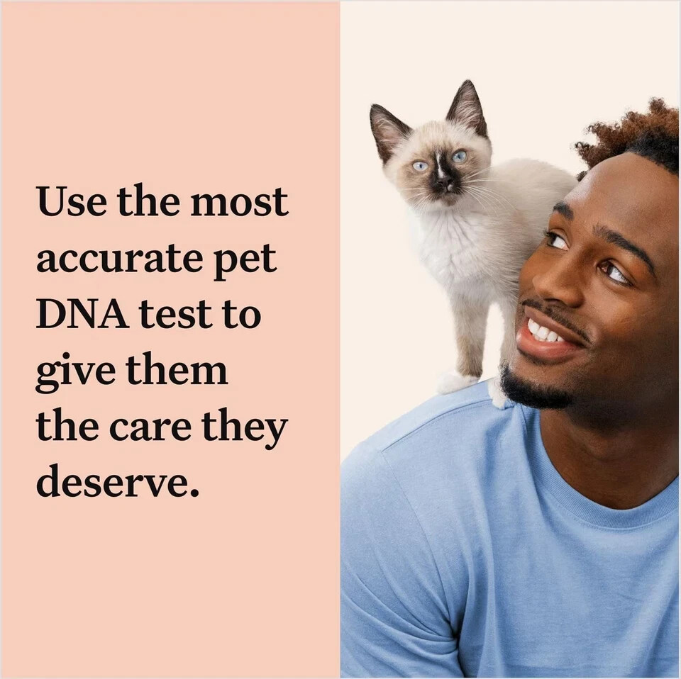 NEW Wisdom Panel Health Complete: Comprehensive Cat DNA Test Kit | eBay