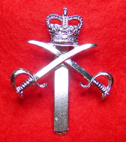 Royal Army Physical Training Corps RAPTC Original Anodized Cap Badge Q ...