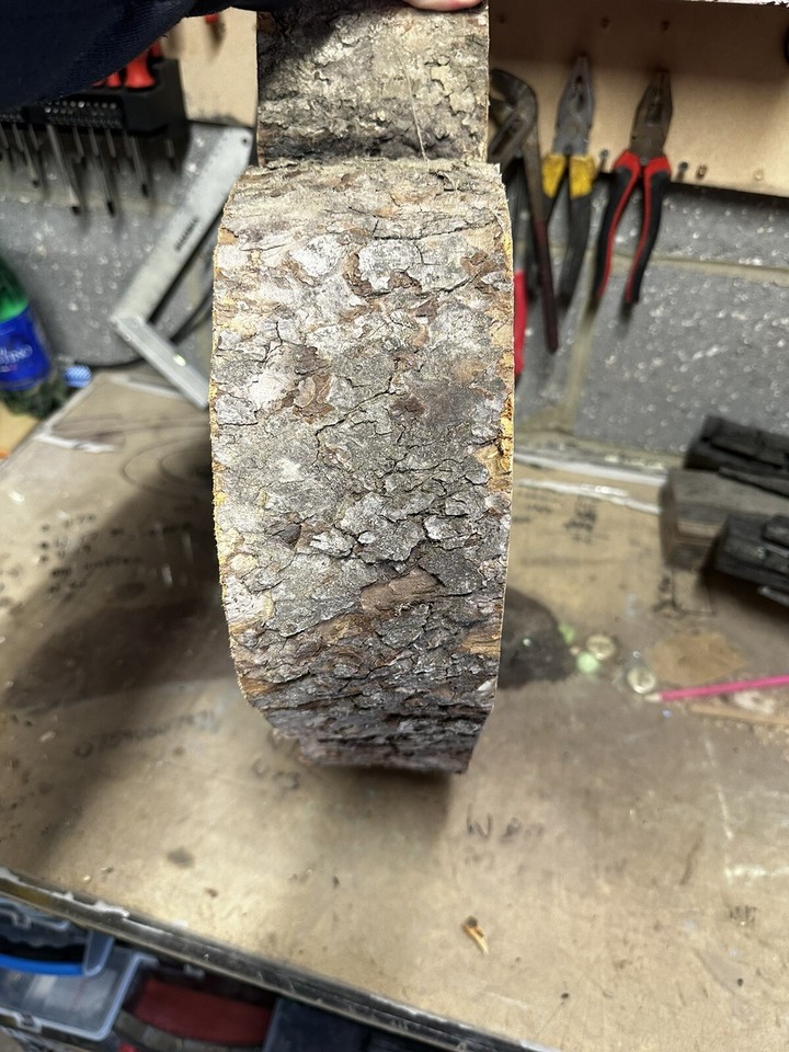 Apple 🍎 cookies,disk,530-500-100mm Thick Kiln Dried | eBay UK