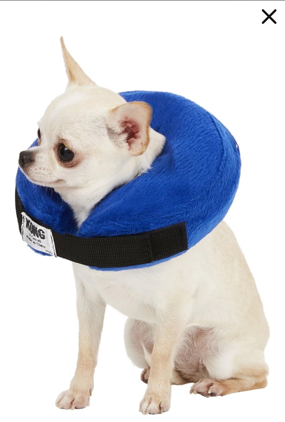 Kong Cloud XS Inflatable Protective Collar For Small Dogs Cats Surgery ...