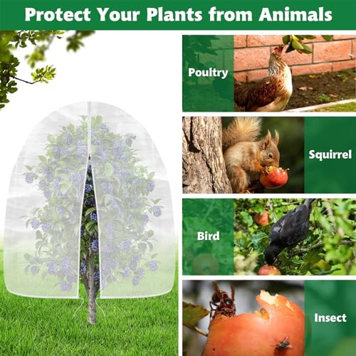 Blueberry Bush Netting Cover Large Fruit Tree Garden Plant Protector ...