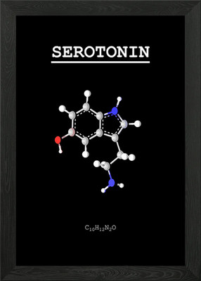 Serotonin Framed Wall Art Poster Canvas Print Picture | eBay UK