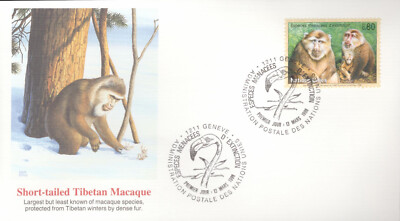 UN Issued Endangeredc Species = Primates = Short-tailed Tibetan Macaque ...