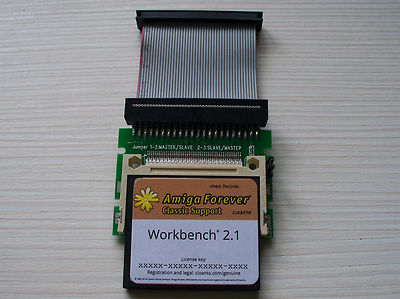 Amiga 600 4GB 2.1 Classic Whdload 18.5 / Games CF Hard Drive | eBay