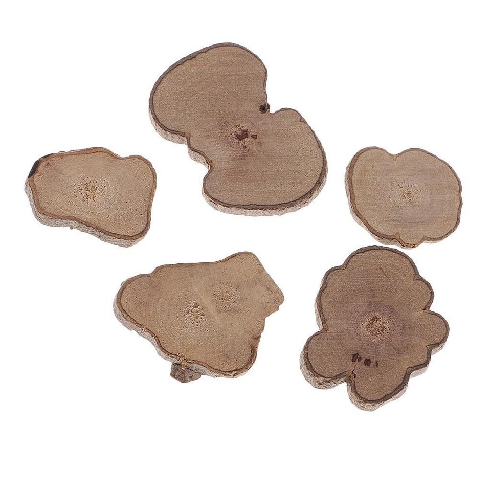 20PCS Small Irregular Natural Tree Wood Slices for Wedding | eBay Australia