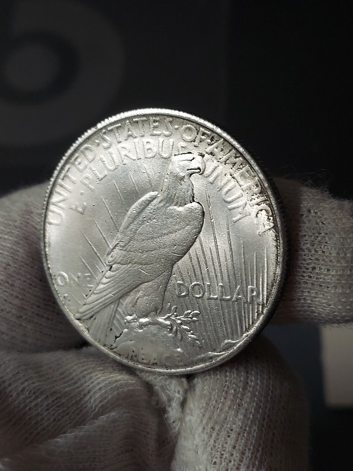 US NOVELTY COIN** 1921 $1 Peace Dollar. Silver Plated. 23 grams. | eBay