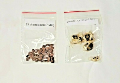 Shami Tree/Banni Tree/Vanni Maram/Prosopis Pack of 25 & Drum Stick ...