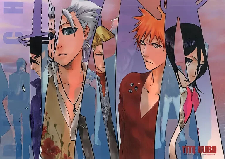Bleach Toshiro Hitsugaya File Raccoglitore Salto Festa 2010 Limitata ...