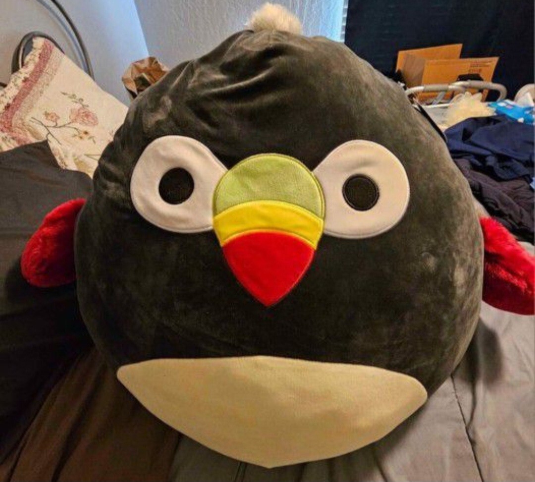 RARE Extra Large 24in Tito Toucan Squishmallow Brand New With Tag | eBay