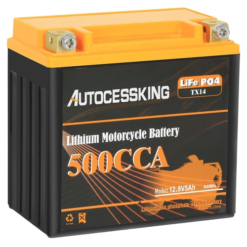 Autocessking YTX14-BS LiFePO4 Lithium Motorcycle Battery 500A 12V 5AH ...