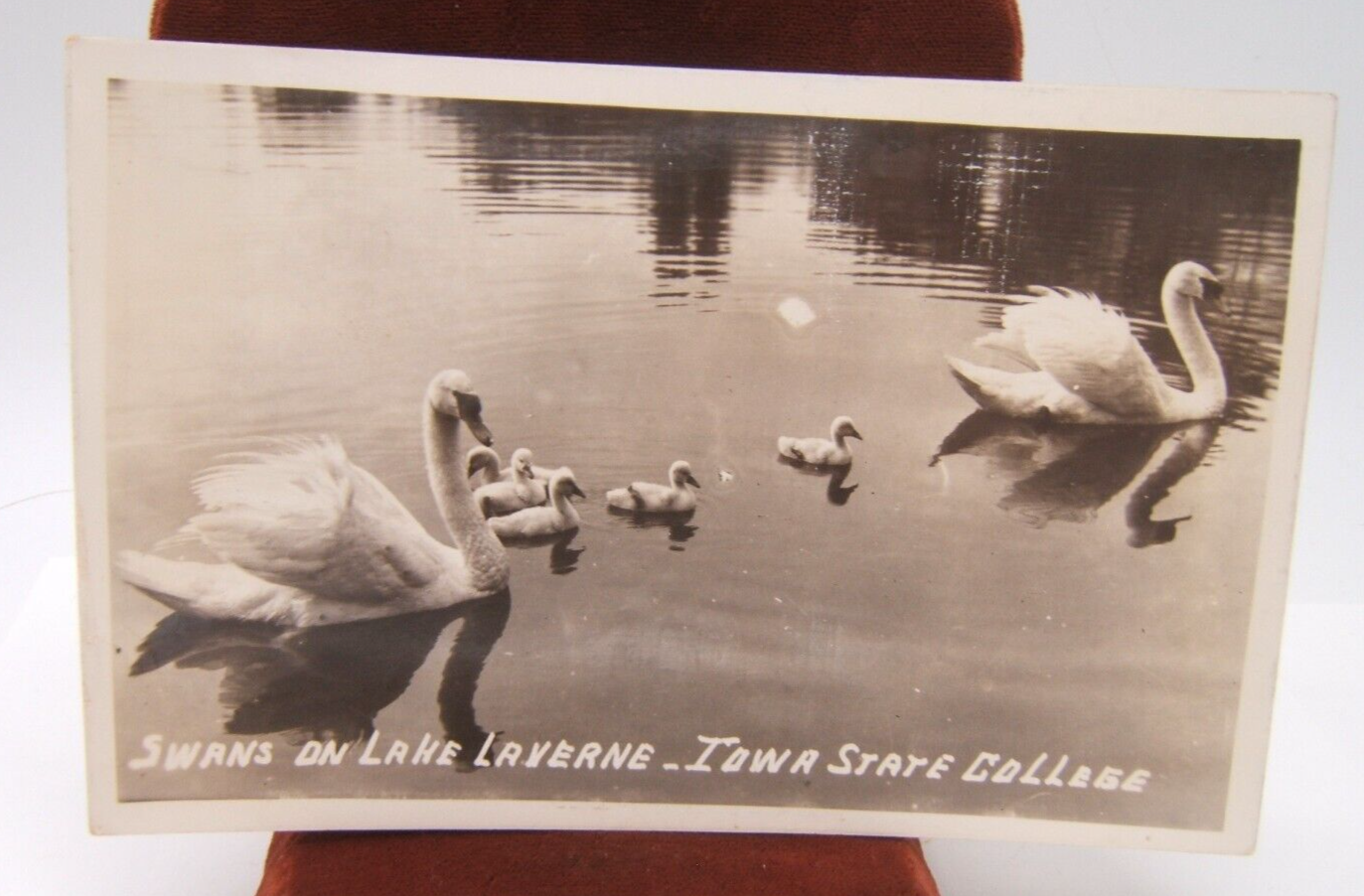 RPPC REAL PHOTO POSTCARD SWANS ON LAKE LAVERNE IOWA STATE COLLEGE 1941 ...