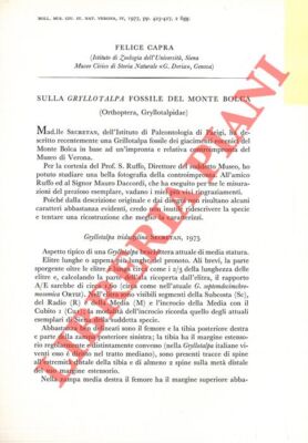 CAPRA Felice - Sulla Gryllotapa fossile del Monte Bolca (Orthoptera ...