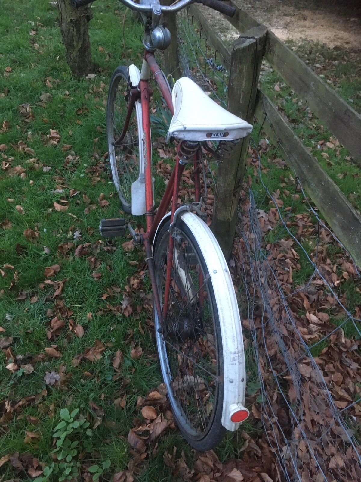 VINTAGE Raleigh Push Bike | eBay UK