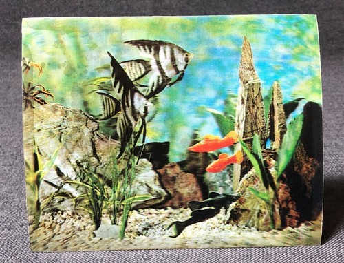 Vari-Vue Lenticular 3D Underwater Fish Coral Reef Ocean Flicker Motion ...