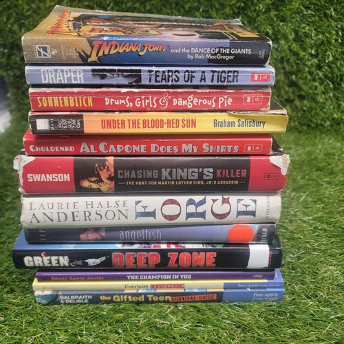Lot of 12 Youth Young Adult Chapter Books Paperback and Hardcover - Pre ...