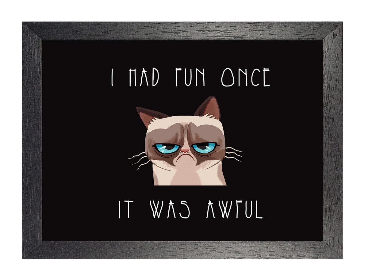 Grumpy Cat I Smiled Once