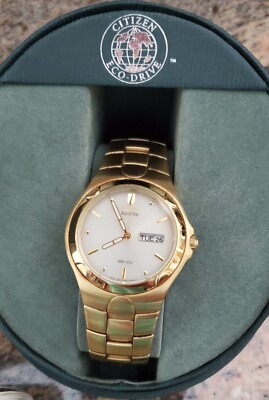 Citizen Eco-Drive Model E101 Watch | eBay