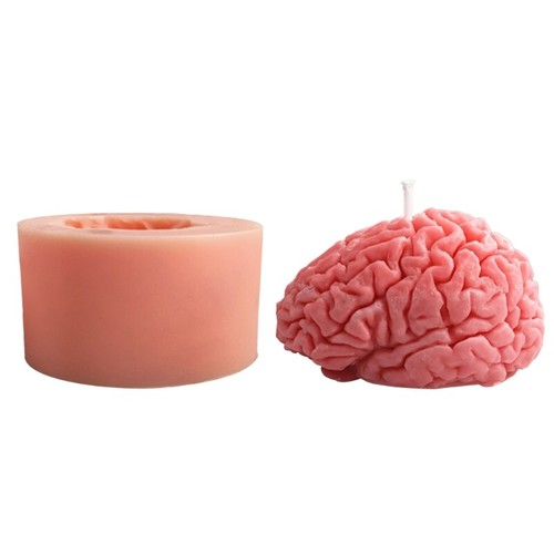 3D Brain Shape Resin Moulds Funny Brain Silicone Molds DIY Making ...