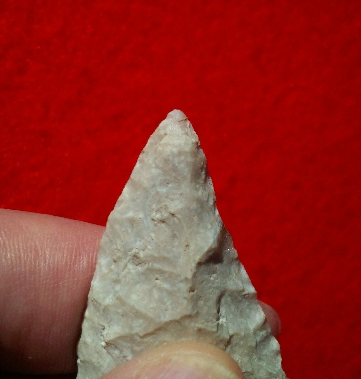 2-9/16" HARDEE BEVELED FLORIDA ARROWHEAD Authentic Indian Artifact ...