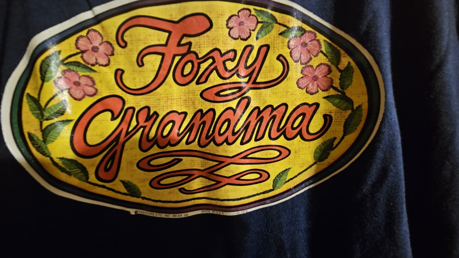 1979 Vintage Foxy Grandma Single Stitch Hanes 50/50 S… - Gem