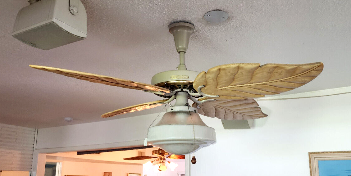 Hunter Cast Iron Ceiling Fan Oil | Shelly Lighting