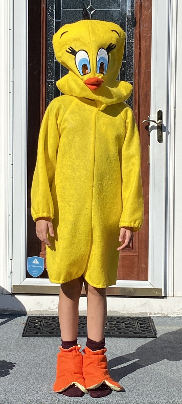 tweety bird costume size - Gem