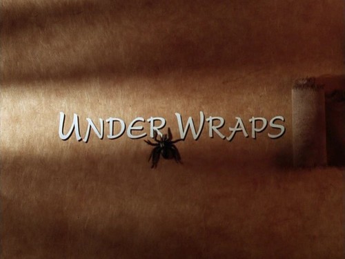 Under Wraps Movie 1997 Adam Wylie Mario Yedidia Clara Bryant | eBay