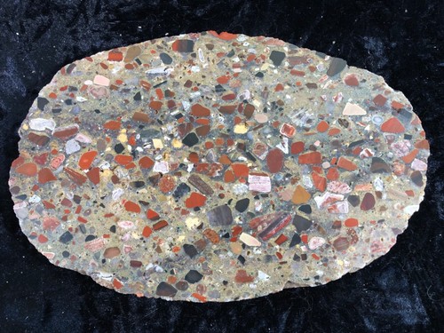 Polished Natural Pudding Stone Sedimentary Conglomerate 8”x5.5” 1 ...