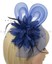 Spring Racing Race Party Melbourne Cup Feather Fascinator Headband ...