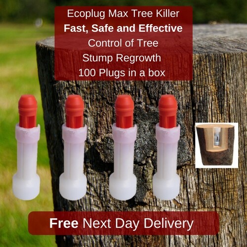 Eco Plug Max Tree Killer, Fast & Effective Control of Tree Stump ...