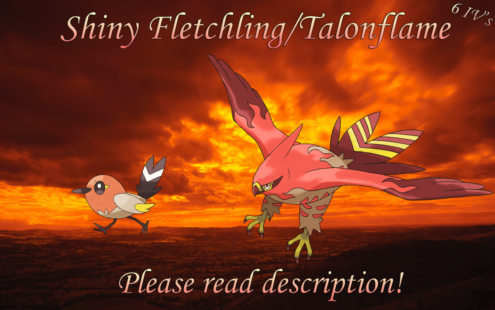 Fletchling And Talonflame
