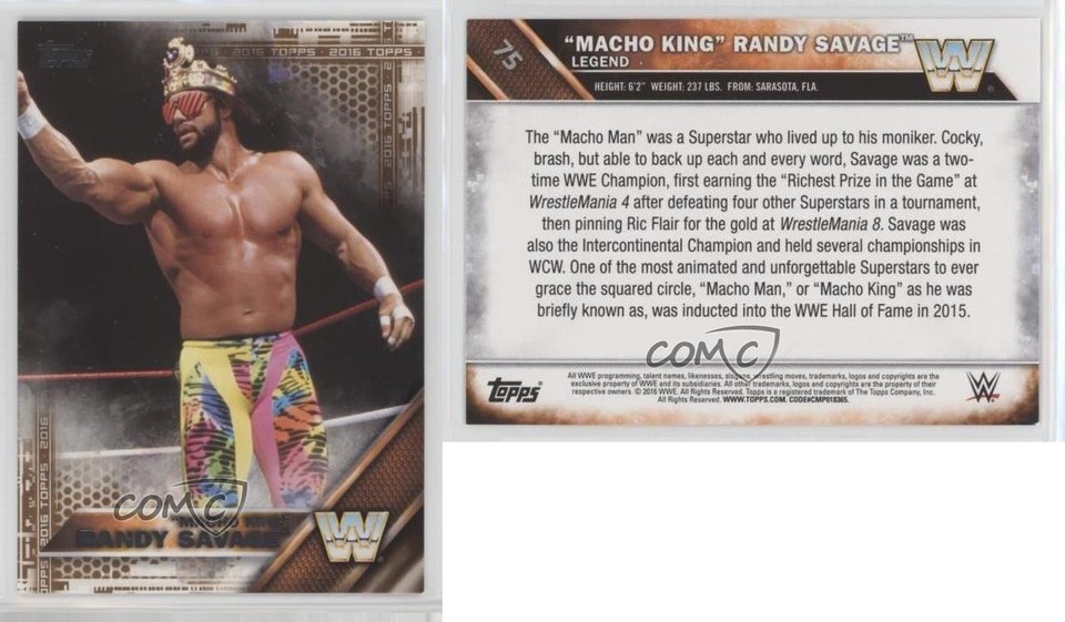2016 WWE Tag Team Championship Bronze Macho King Randy Savage #75 Patch ...