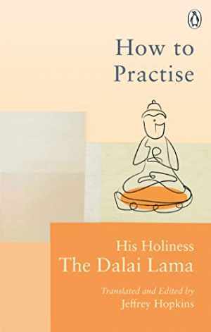 How To Practise: The Way to a Meaningful Life - Paperback, by Lama ...