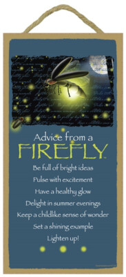 Advice from a Firefly Pulse with excitement Lighten Up... NEW 10x5 Wood ...