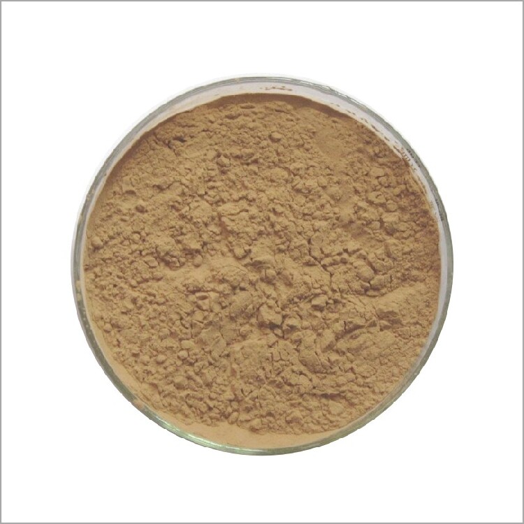 200g 100% Pure asparagus root (TIAN MEN DONG) 20:1 EXTRACT POWDER ...