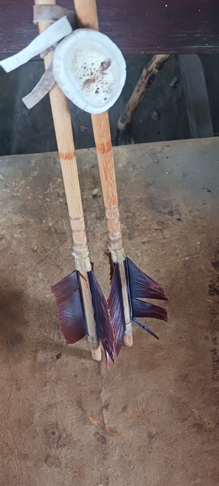 ""AWESOME NATIVE AMERICAN TWO ARROWS STONE TIPPED VERY NICE QUALITY ...