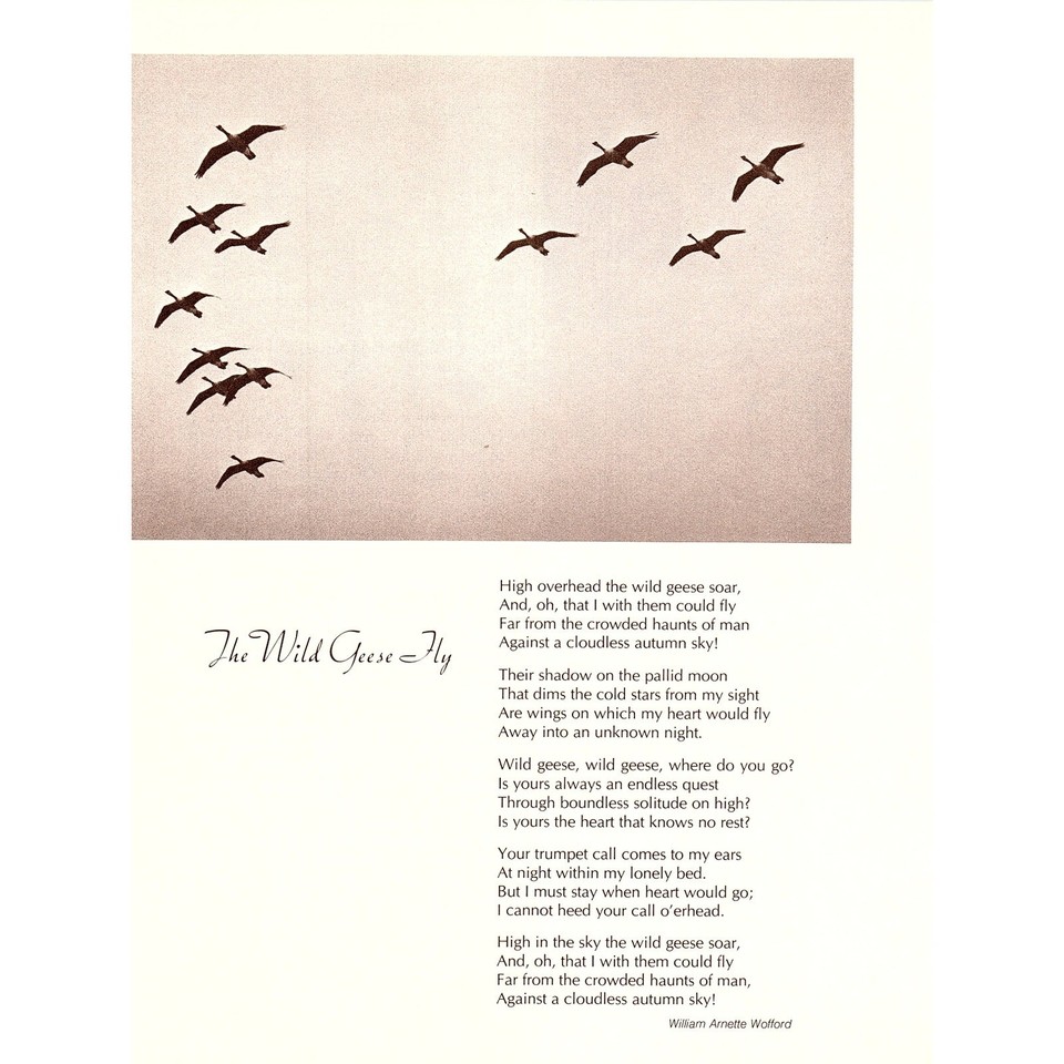The Wild Geese Fly William Arnette Wofford 1970s Poem Retro Kitsch Wall ...