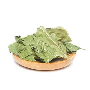 Organic Sang Ye- Folium Mori Mulberry Leaf 100g Dried Herbs | eBay