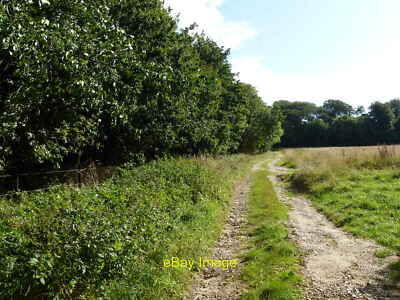 Photo 6x4 Track heading south from The Downs South of Barrow Common and ...