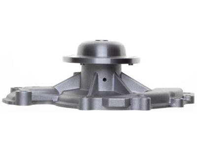 Water Pump 56YPBH79 for Bonneville Firebird Grand Am Trans Sport 1985 ...