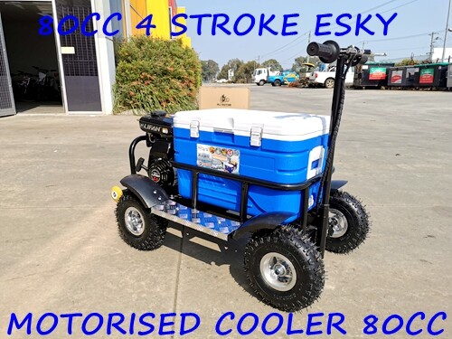 4.10- 4" 4 Inch Wheel Rim+Tyre Tire ESKY Mini Quad Bike ATV Buggy 12mm ...