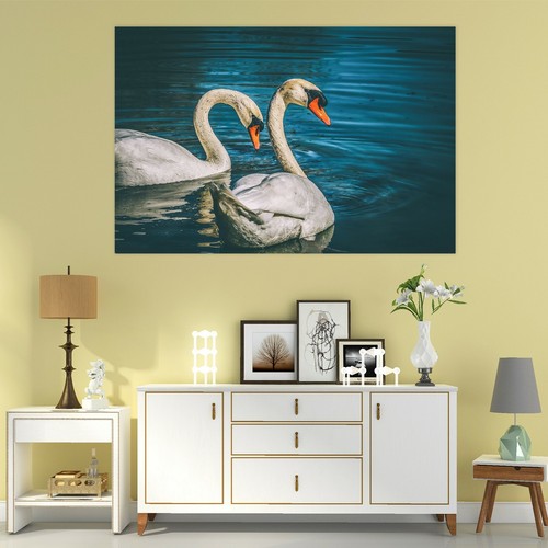 3D Water White Swan C59 Animal Wall Stickers Wallpaper Mural Wall ...