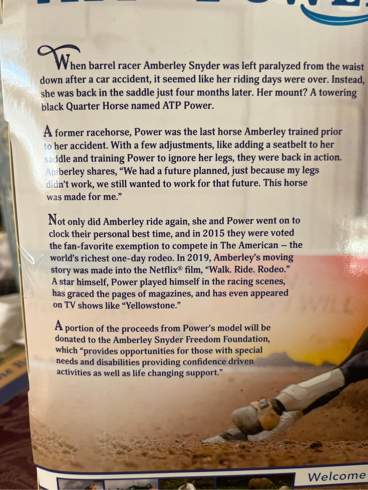 Breyer Model Horses 2023 Black ATP Power Horse | eBay