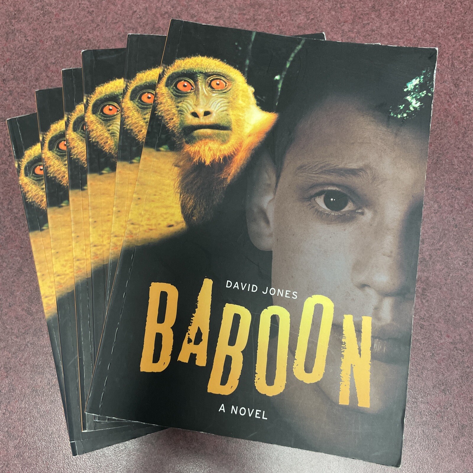 Baboon by Jones, David Teacher Set Of 6 9781554510535| eBay