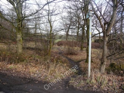 Photo 6x4 Footpath through woodland, off Litherop Lane West Bretton ...