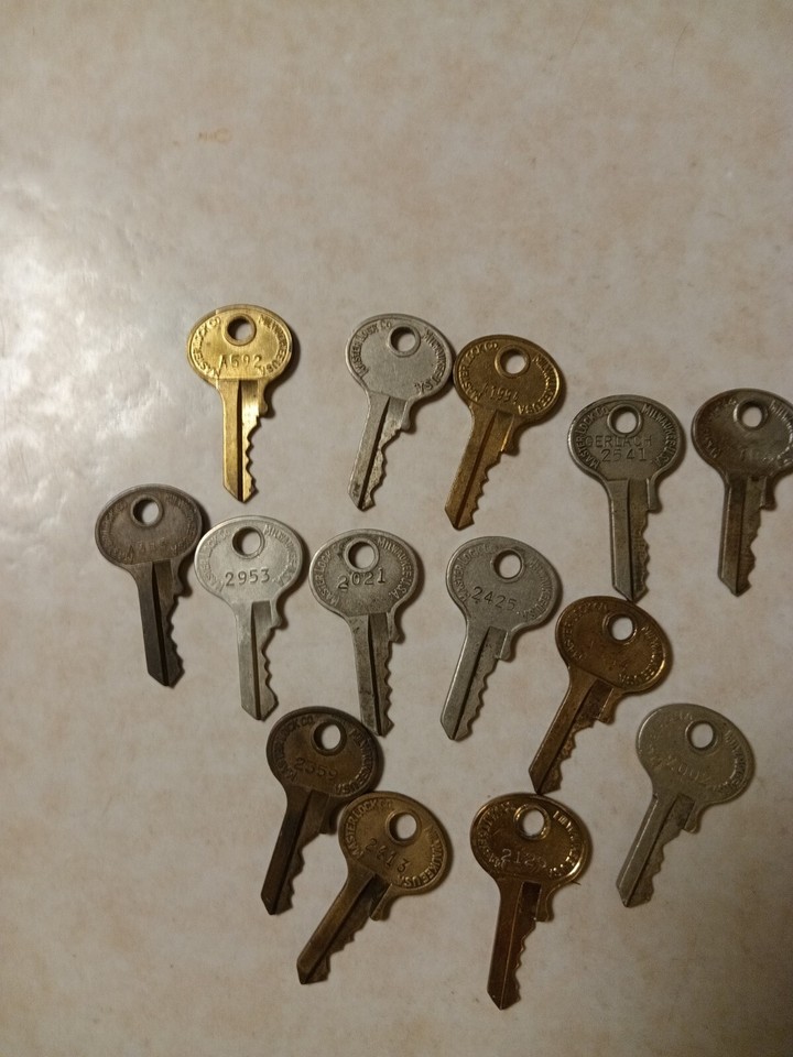 LOT of 14 Vintage Original Master Lock Keys LION | eBay
