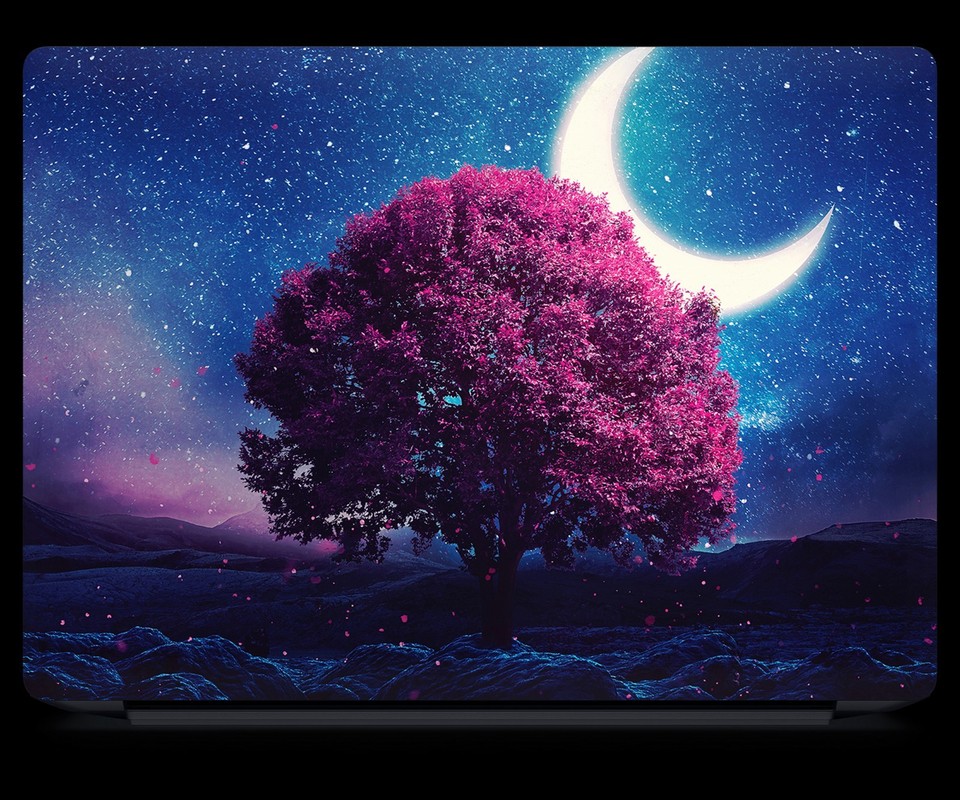 Laptop Skin Vinyl Sticker 10 - 17 Inch Decals Chromebook Tablets Back ...