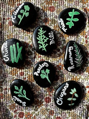 Cute Hand Painted Rocks, Herbs & Spices Garden Decor 1/1, Each Piece ...