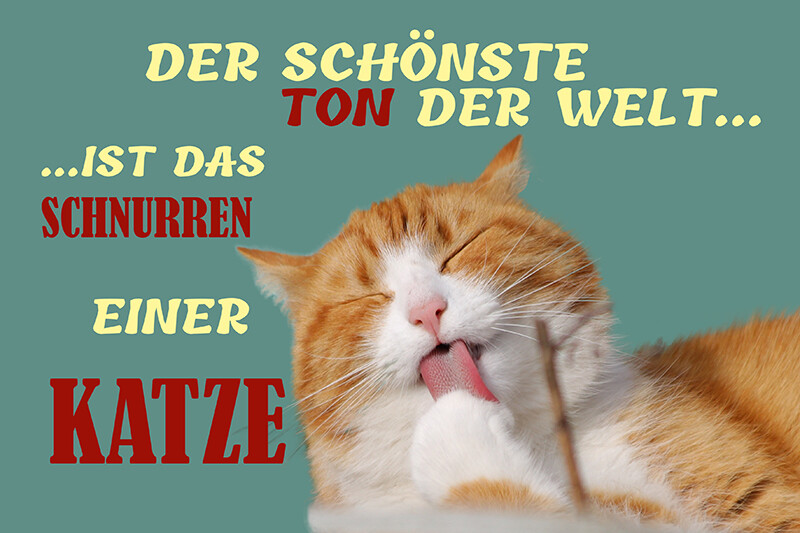 Beste Katzenmemes Von 2024 Cartoons Und Karikaturen Mit Katzenmeme