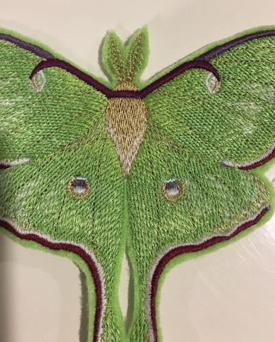 GLOW in DARK Large 6” Inch Embroidered Luna Moth IRON ON Patch | eBay